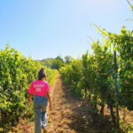 Chianti Vineyards Escape from Florence with Two Wine Tastings - Who Should Book This Tour?
