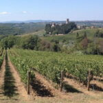 Chianti Wine Tour - Private Wine experience in Tuscany Countryside - Why This Tour Offers Excellent Value