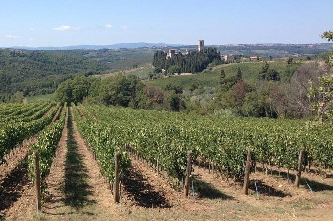 Chianti Wine Tour - Private Wine experience in Tuscany Countryside - Why This Tour Offers Excellent Value