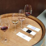 Chianti Winery + Brolio Castle Private Tour - The Experience from a Traveler’s Perspective