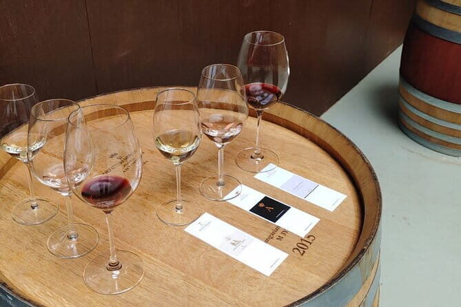 Chianti Winery + Brolio Castle Private Tour - The Experience from a Traveler’s Perspective