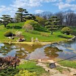 Chicago City's Iconic Sights and Suburb Gems Tour - Wrapping Up at Navy Pier