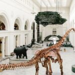 Chicago Self-Guided Audio Tour - Authentic Insights from Travelers