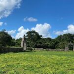 Chichen Itza Mayan Flavors and Jungle at Hacienda Privada with Cenote - Hacienda Journey and Jungle Surroundings