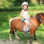Children Mini Horse Rides - Why We Think It’s a Good Choice