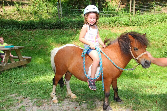 Children Mini Horse Rides - Why We Think It’s a Good Choice