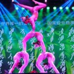 China Acrobatics Show and Shanghai Evening Tour - Final Words: Is It Worth It?