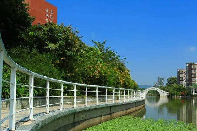 China Education Culture University Campus Guangzhou Private Tour - Authentic Moments and Visitor Impressions