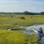 Chincoteague Kayak Rentals around Assateague Island - The Itinerary: What to Expect