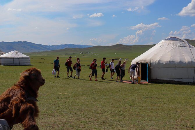 Chinggis Khaan Statue Complex and Terelj National Park 1 day - Practical Insights: Transportation, Timing, and Value