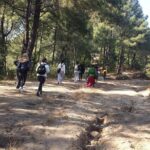 Chisapani Nagarkot Hiking - 2 Nights 3 Days (Shivapuri Nagarjun National Park) - An In-Depth Look at the Chisapani Nagarkot Hiking Tour