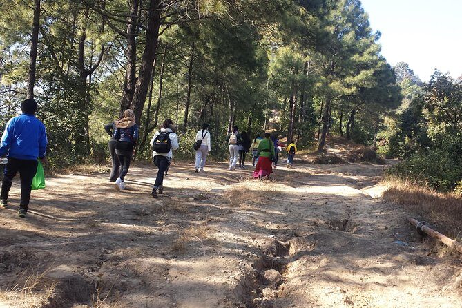 Chisapani Nagarkot Hiking - 2 Nights 3 Days (Shivapuri Nagarjun National Park) - An In-Depth Look at the Chisapani Nagarkot Hiking Tour