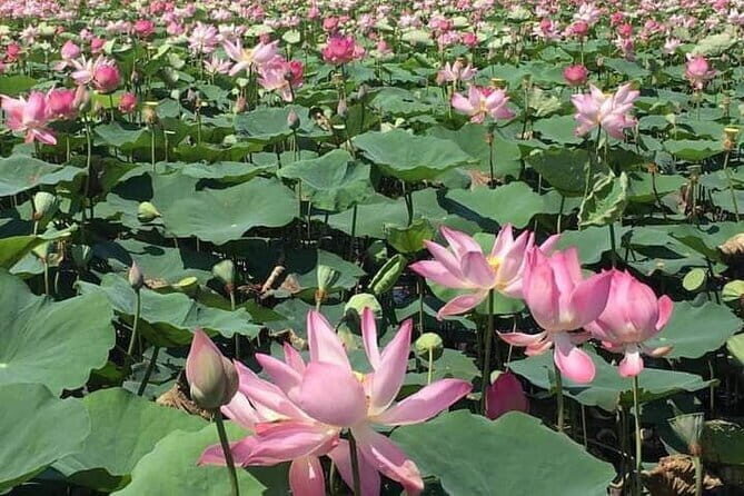 Chiso temple, Neang khmao, and Taprum temple historical site Tour - Transportation, Group Size, and Practical Notes