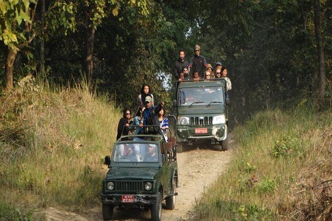 Chitwan Jeep Safari - Practical Tips for Making the Most of Your Safari