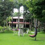 Chitwan Jungle Safari All-Inclusive Package from Kathmandu - The Value of Included Features