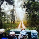 Chitwan Jungle Safari Guided Private Day Tour - Key Points