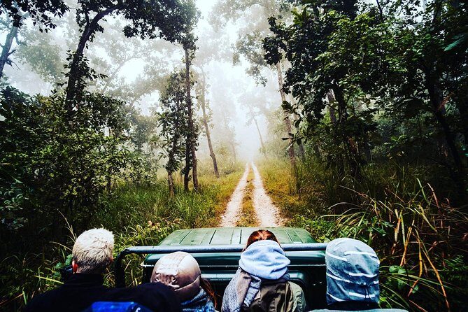 Chitwan Jungle Safari Guided Private Day Tour - Key Points