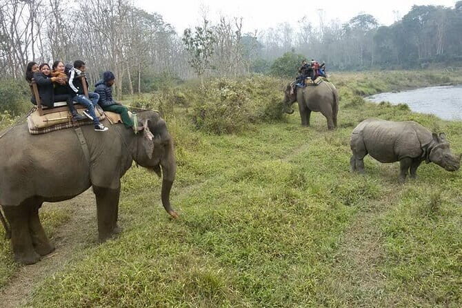 Chitwan Jungle Safari Tour 2 Night /3 Days With Private Transportation - Who Should Consider This Tour?
