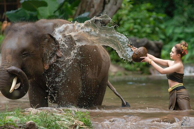 Chitwan National Park Tour - Day 2: Full Day of Safari Adventures