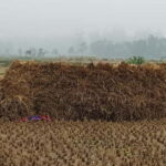 Chormara: Homestay, Meals, & Cultural Immersion Program - What You’ll Love About the Chormara Experience