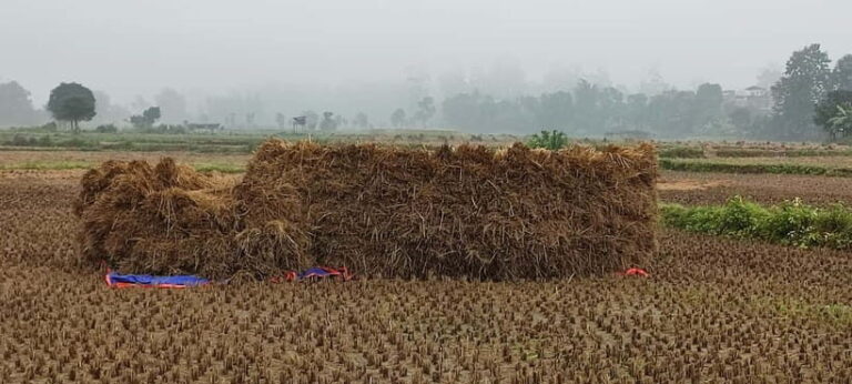 Chormara: Homestay, Meals, & Cultural Immersion Program - What You’ll Love About the Chormara Experience