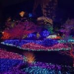 Christmas Lights Tour Butchart Gardens & City Tour in Victoria BC - Final Thoughts on Value and Suitability