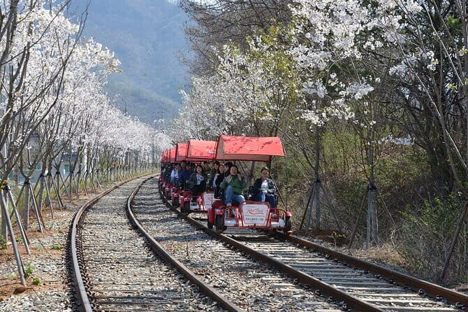Chuncheon Special-Nami Island, Alpaca World And Rail Bike - Practical Details and Tips