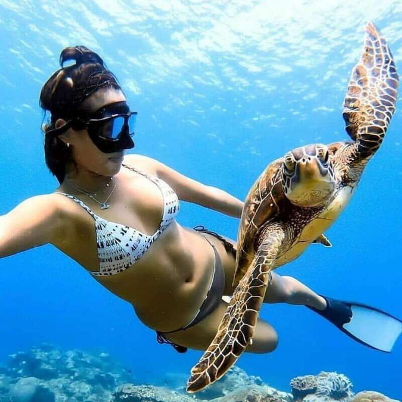 Cielo y Cielito With Transfer, Catamaran, 5 hours Open Bar and Lunch - The Itinerary Breakdown