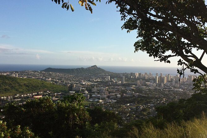 Circle Island 8hr Private Small Group Tour - What Travelers Say