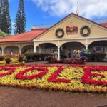 Circle Island Tour - Who Might Enjoy This Tour?