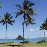 Circle Island Tour: Exclusively for Couples & Honeymooners - Why Choose This Tour?