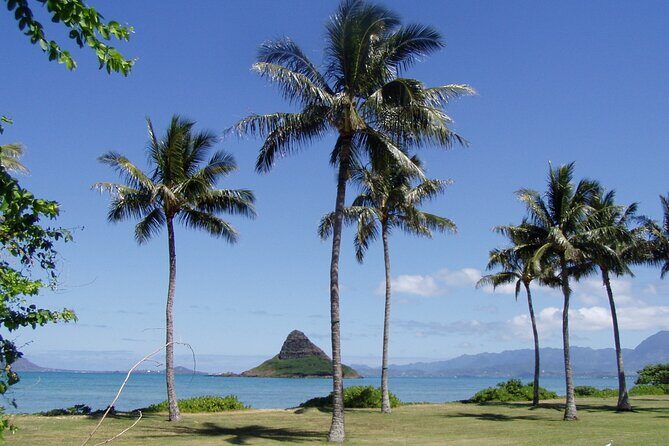 Circle Island Tour: Exclusively for Couples & Honeymooners - Why Choose This Tour?