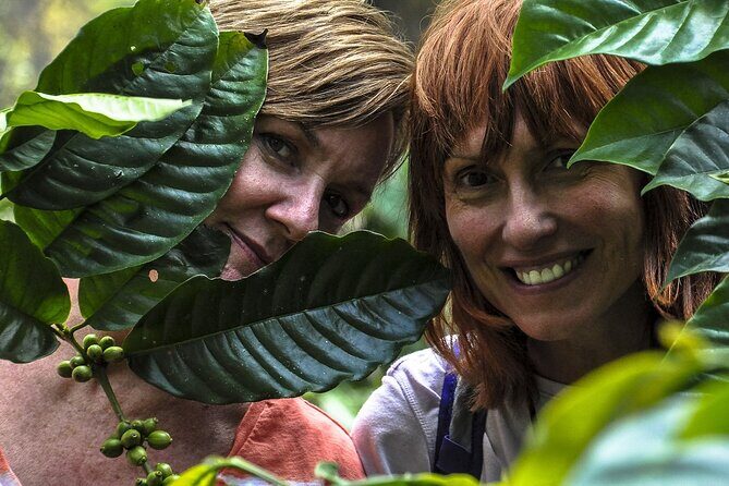 Classic Coorg Coffee Plantation experience - What Do The Reviews Say?