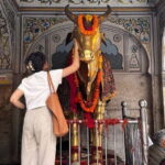 Classic Jaipur 101 Sightseeing, Food and E-Bike Tour - Tasting Local Snacks and Culture