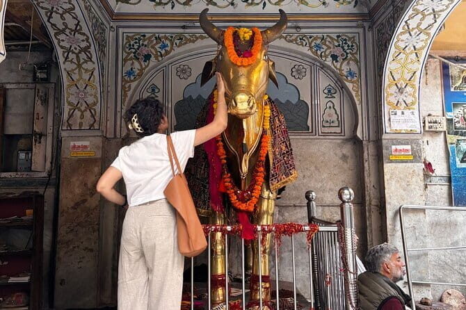 Classic Jaipur 101 Sightseeing, Food and E-Bike Tour - Tasting Local Snacks and Culture