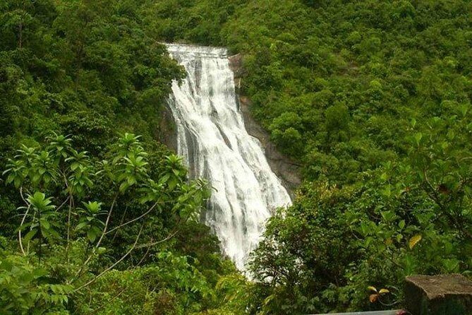 Classic Tour of 8 Days - An In-Depth Look at the 8-Day Sri Lanka Tour