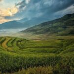 Classic Vietnam In 11 Days - Departure from Ho Chi Minh - Final Thoughts