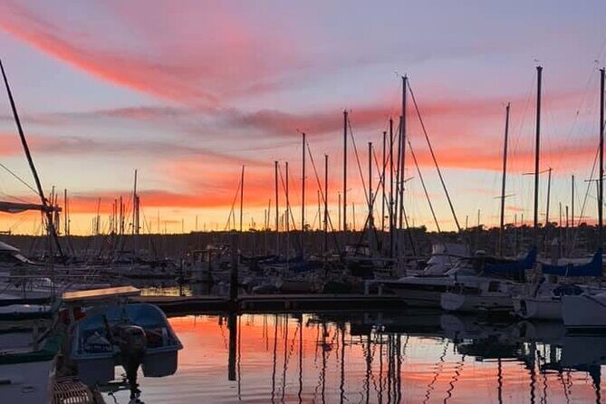 Clear Bottomed Kayak Rentals in San Diego - Who Will Love This Experience?