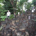 Climb Mount Fuji Seven Times in One Day in Tokyo - Final Thoughts