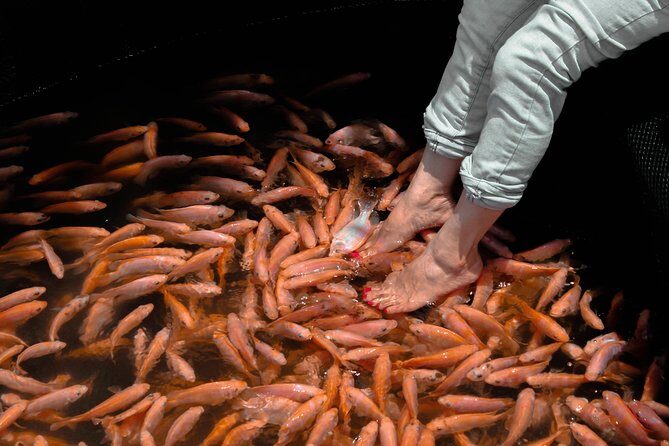 Coastal Belt of the South (5 Days) - Transport and Guide Quality