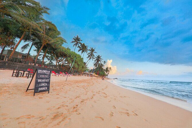 Coastal Ride to Galle from Wadduwa - Practical Considerations: What to Know Before You Go