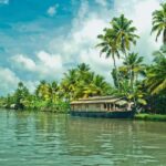 Cochin City or Backwater Shore Excursions from Cruise Terminal - How the Itinerary Breaks Down