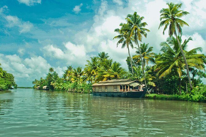 Cochin City or Backwater Shore Excursions from Cruise Terminal - How the Itinerary Breaks Down