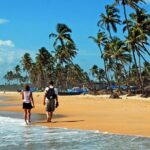 Cochin to Alleppey & Marari Beach (3 Days) - Who Will Love This Tour?