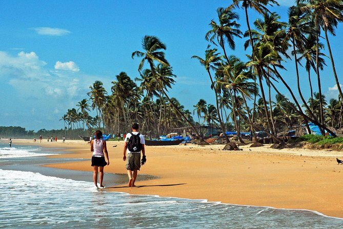 Cochin to Alleppey & Marari Beach (3 Days) - Who Will Love This Tour?