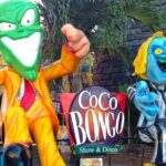 Cocobongo Cancun Disco and Show Primera Fila - Analyzing the Price and Value