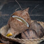 Coconut Oil Making Process - Harvesting Coconuts: Respect for Nature