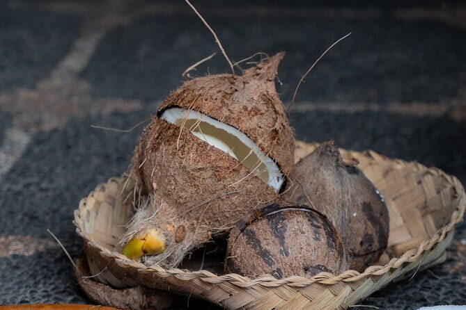 Coconut Oil Making Process - Harvesting Coconuts: Respect for Nature