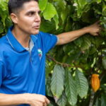 Coffee & Chocolate Tour+Sloths Park & Llanos de Cortez Waterfall - Llanos de Cortes Waterfall: Nature’s Showstopper