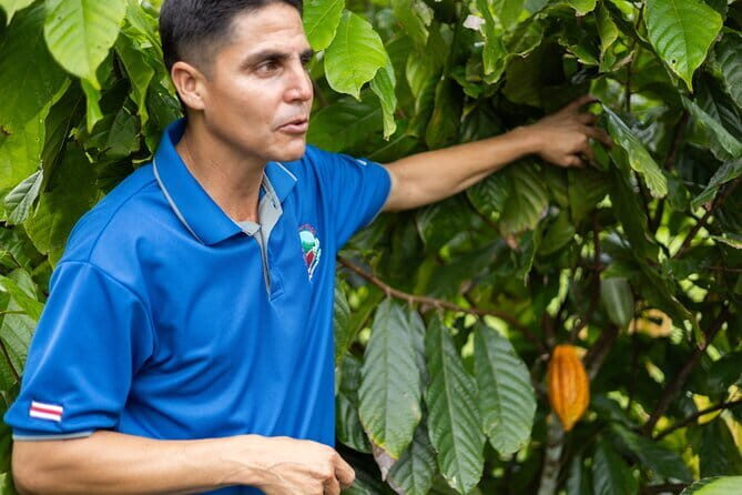 Coffee & Chocolate Tour+Sloths Park & Llanos de Cortez Waterfall - Llanos de Cortes Waterfall: Nature’s Showstopper